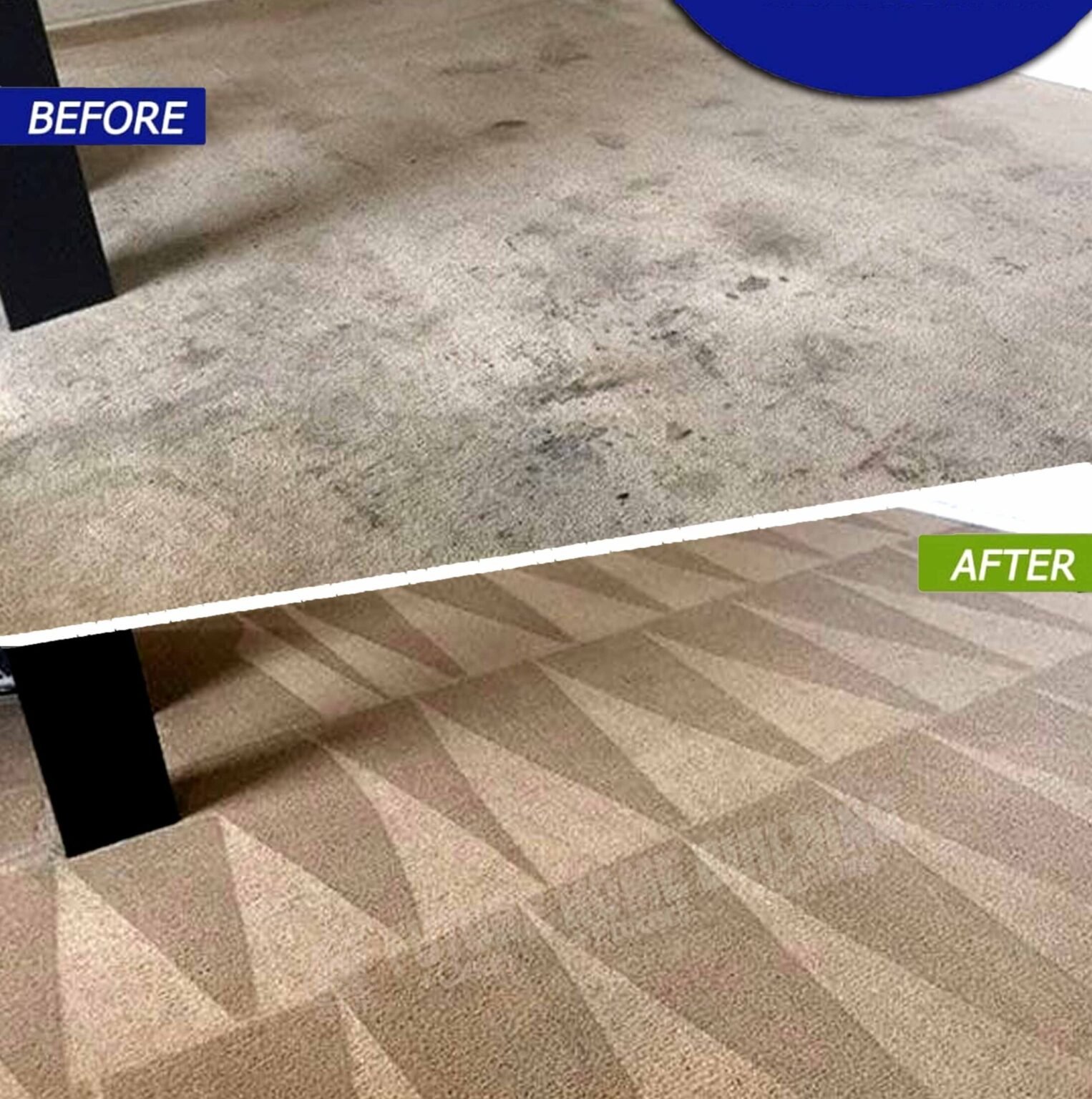 Carpet Deep Cleaning & Sanitizing - Future Home Cleanings